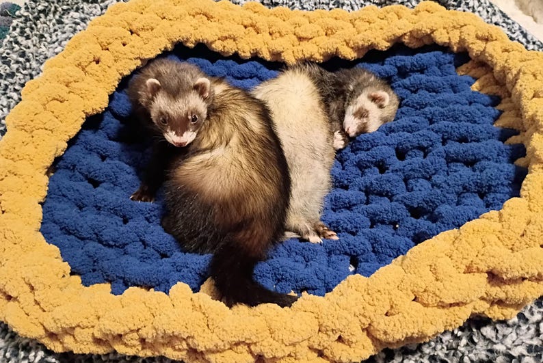 Hand Knitted Chunky Yarn Pet Blanket Bed: Ferrets, Small Animals - Etsy