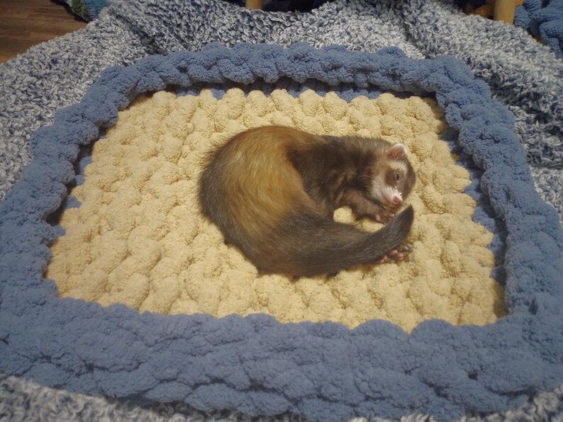 Hand Knitted Chunky Yarn Pet Blanket Bed: Ferrets, Cats, Small Dogs - Etsy
