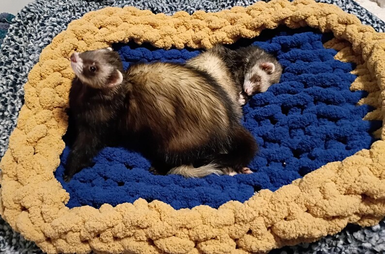Hand Knitted Chunky Yarn Pet Blanket Bed: Ferrets, Small Animals - Etsy