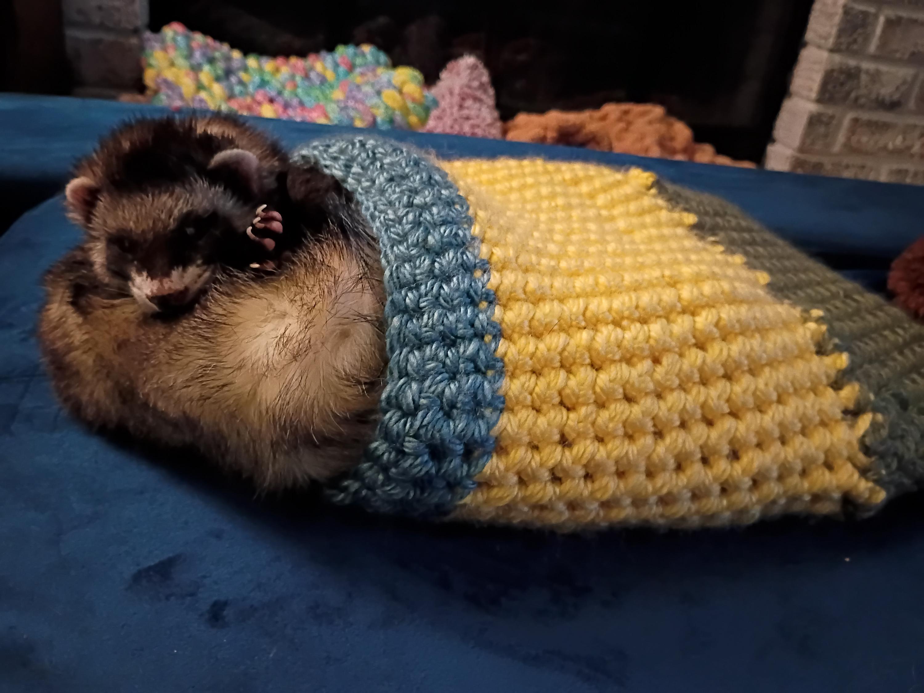 STUDIO or DUPLEX - Your Choice; Ferret; Pocket Pet; Burrow; Nest ...