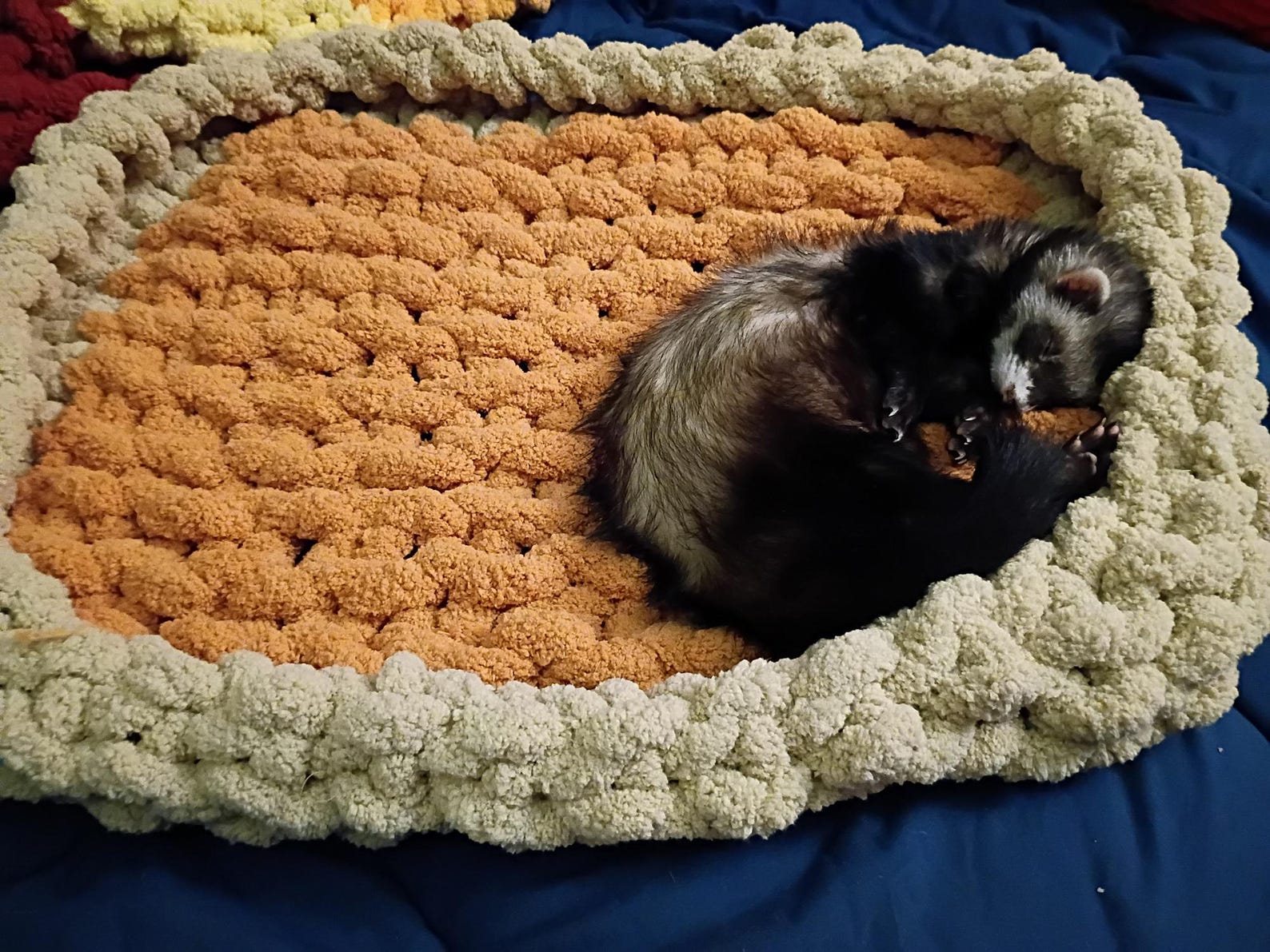 Hand Knitted Chunky Yarn Pet Blanket Bed: Ferrets, Small Animals - Etsy