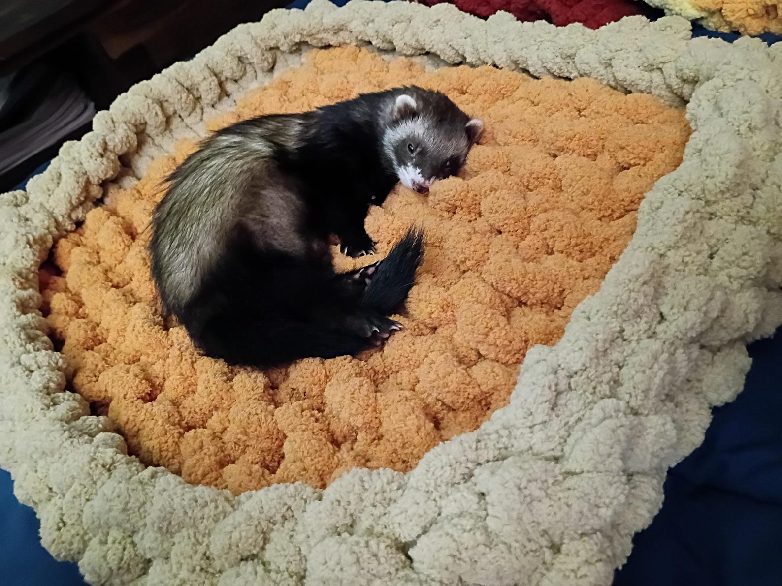 Hand Knitted Chunky Yarn Pet Blanket Bed: Ferrets, Small Animals - Etsy