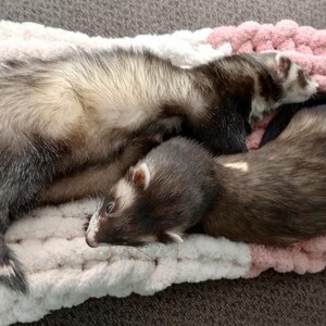 JUMBO TUNNEL, Hand Knitted Chunky Yarn Ferret Tunnel: 34