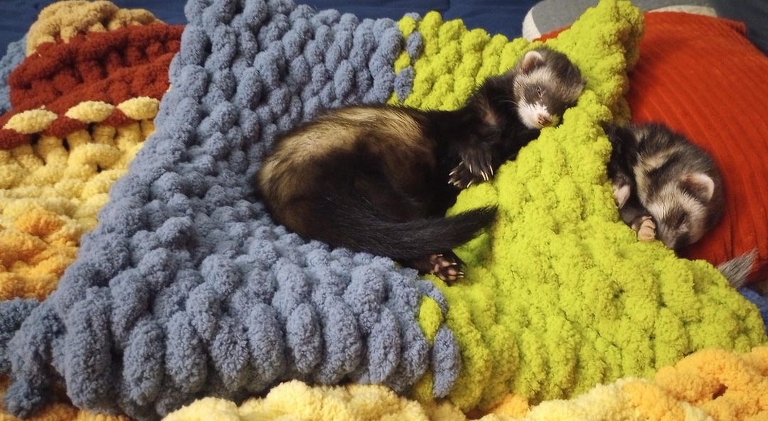 Hand Knitted Ferret Snuggle Pocket: Chunky Yarn Sleeping Sack - Etsy
