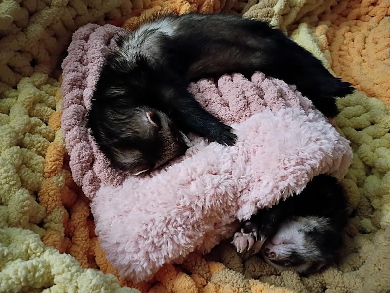 Pink POUF BAGGY - Hand Knitted and Crocheted Ferret and Small Animal ...