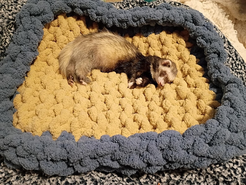 Hand Knitted Chunky Yarn Pet Blanket Bed: Ferrets, Small Animals - Etsy