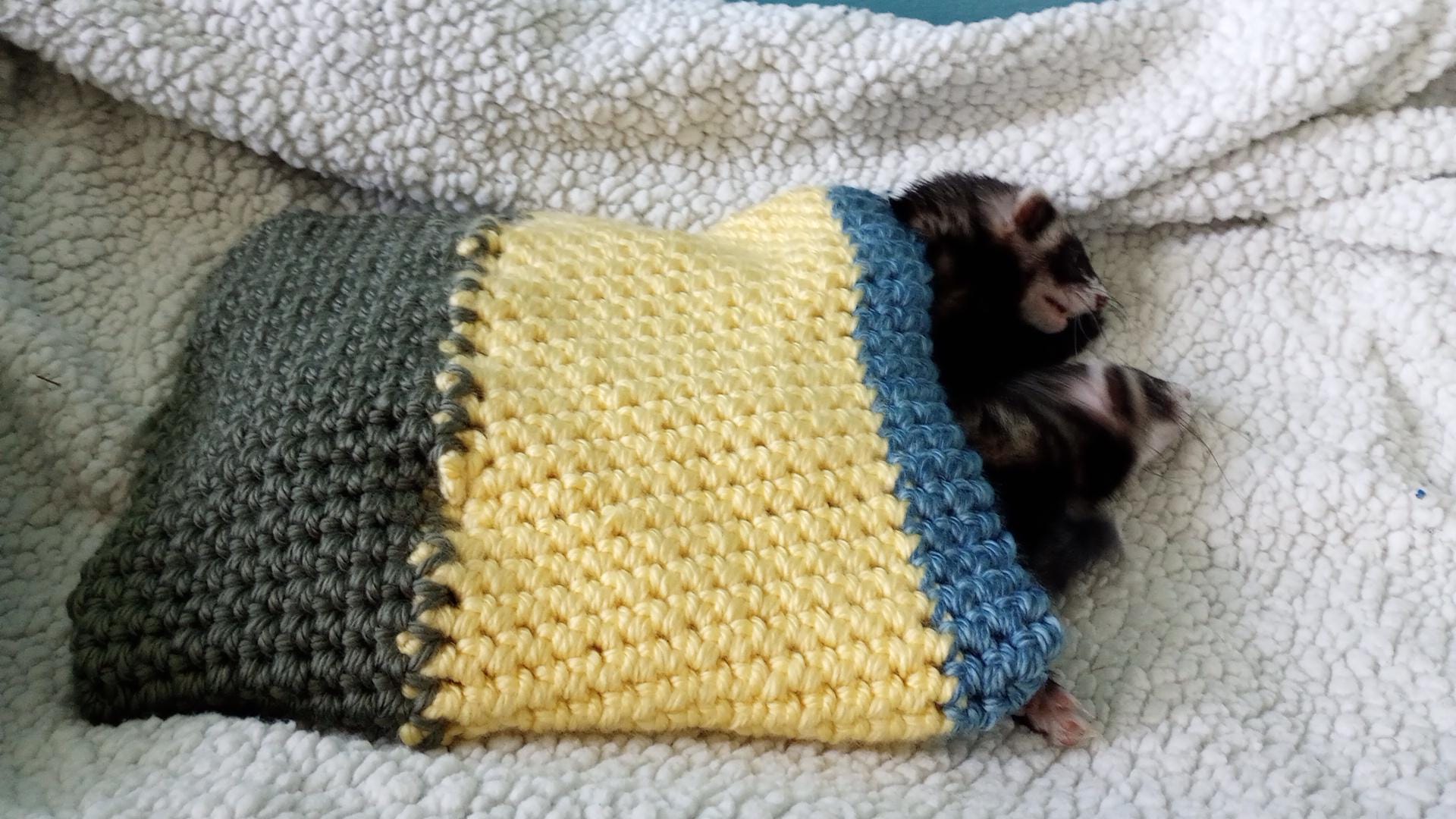 STUDIO or DUPLEX - Your Choice; Ferret; Pocket Pet; Burrow; Nest ...