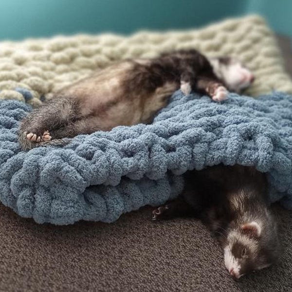 Ferret Bedding - Etsy