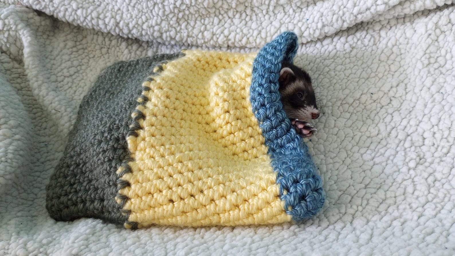 STUDIO or DUPLEX - Your Choice; Ferret; Pocket Pet; Burrow; Nest ...