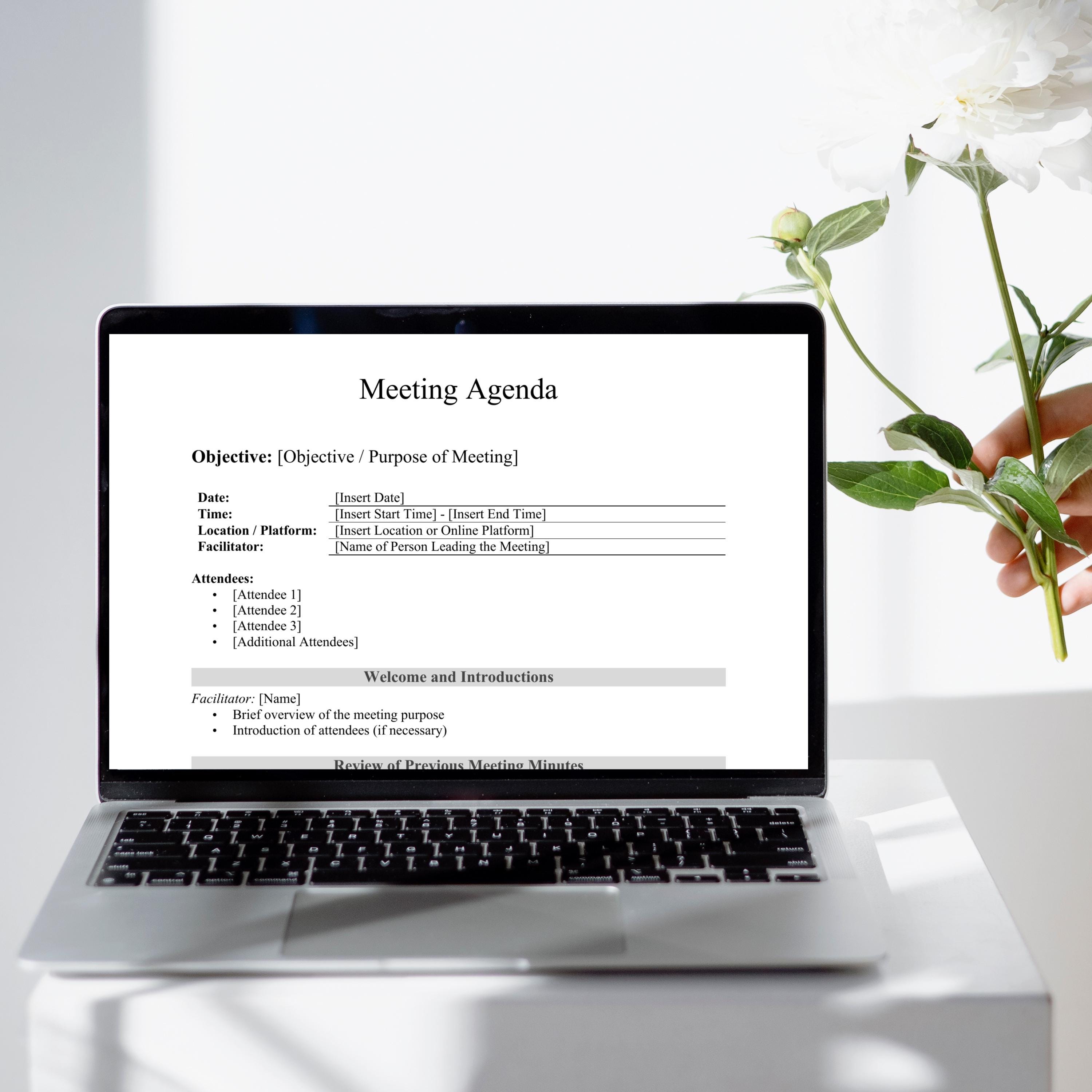 Meeting Agenda Template | Effective Plan and Presentable Work Agenda ...