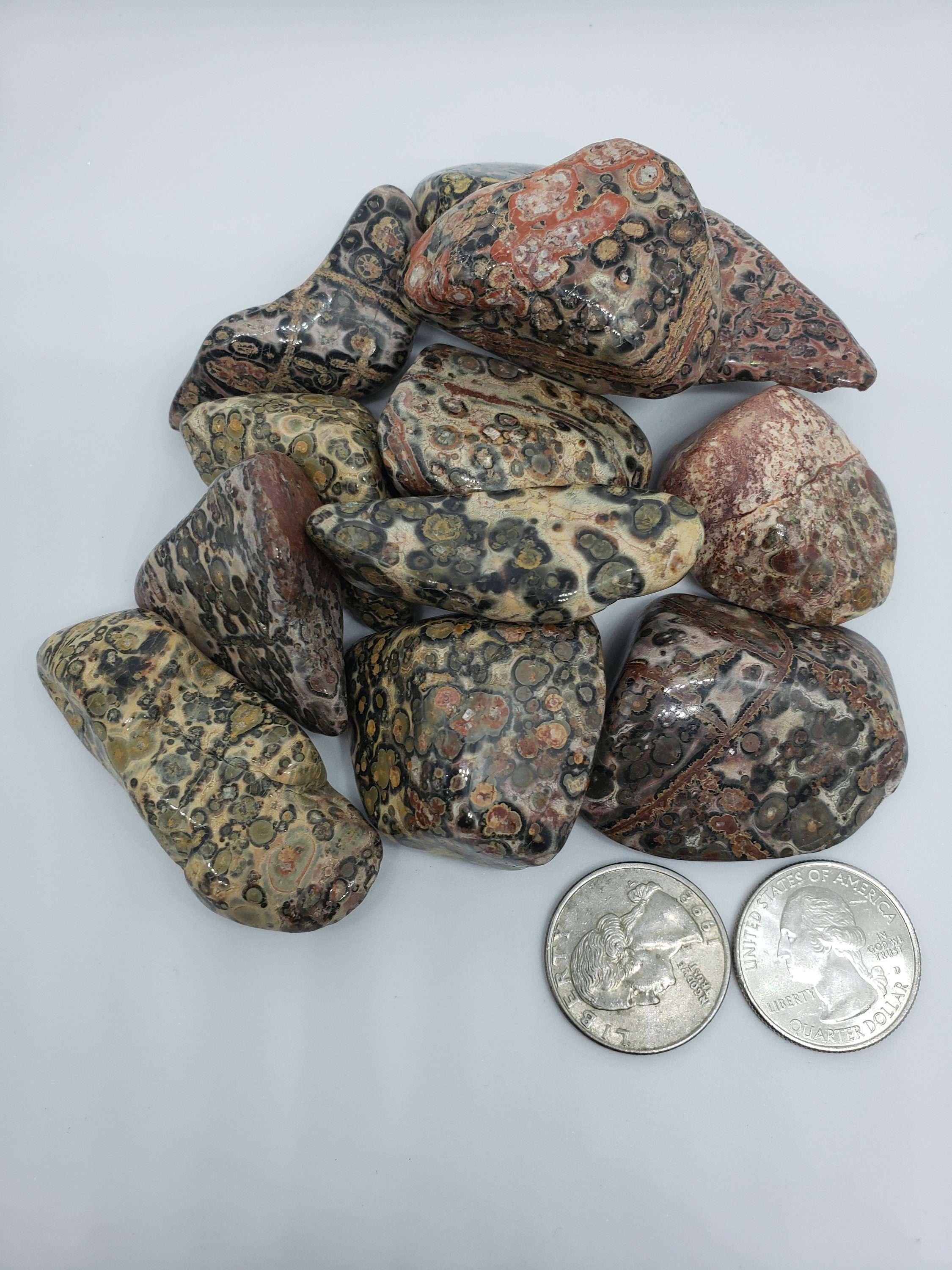 Polished Leopard Skin Jasper Stones - Etsy