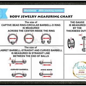 Belly Ring, Button, Seamless and Segment Ring, Clicker Body Piercing ...
