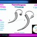 Curved Spikes, Claw, Horseshoe Circular Barbell, Body Jewellery, Very ...