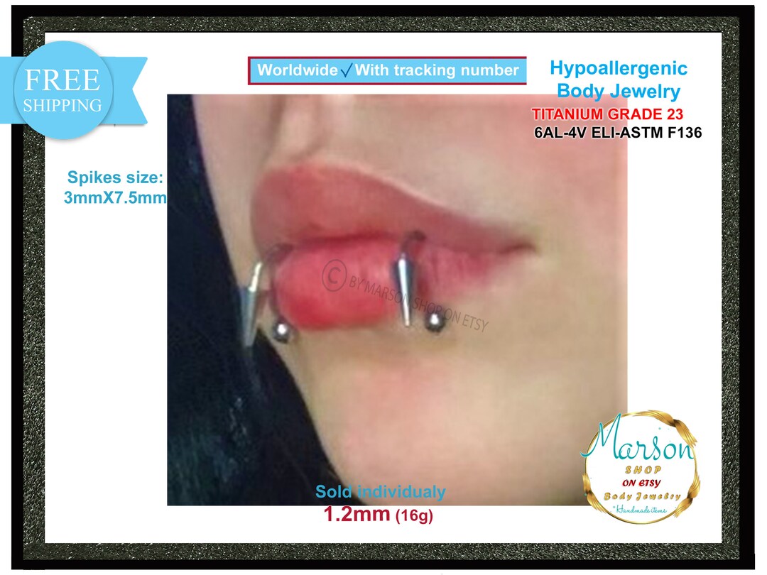 Labret Spike With Ball, Circular Barbell. Horseshoe Titanium Hypoallergenic. 1.2mm (16g). Silver ...