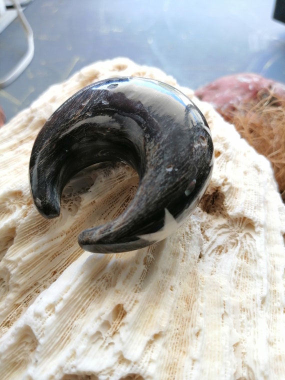 Buffalo Horn Pincher Organic Bone Stretcher Earrings Real - Etsy