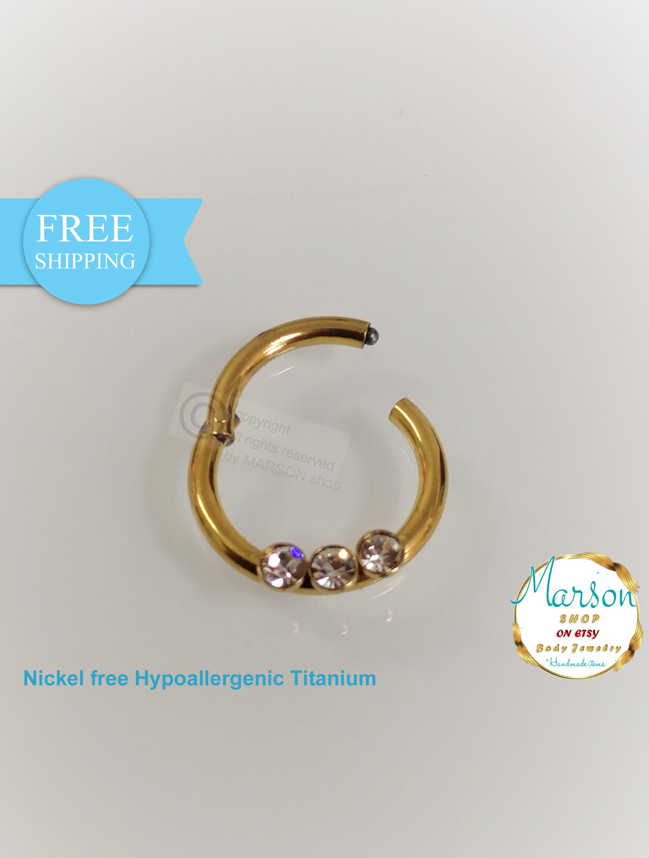 Clicker Seamless Segment Earring16g 12mm Swarovski - Etsy UK