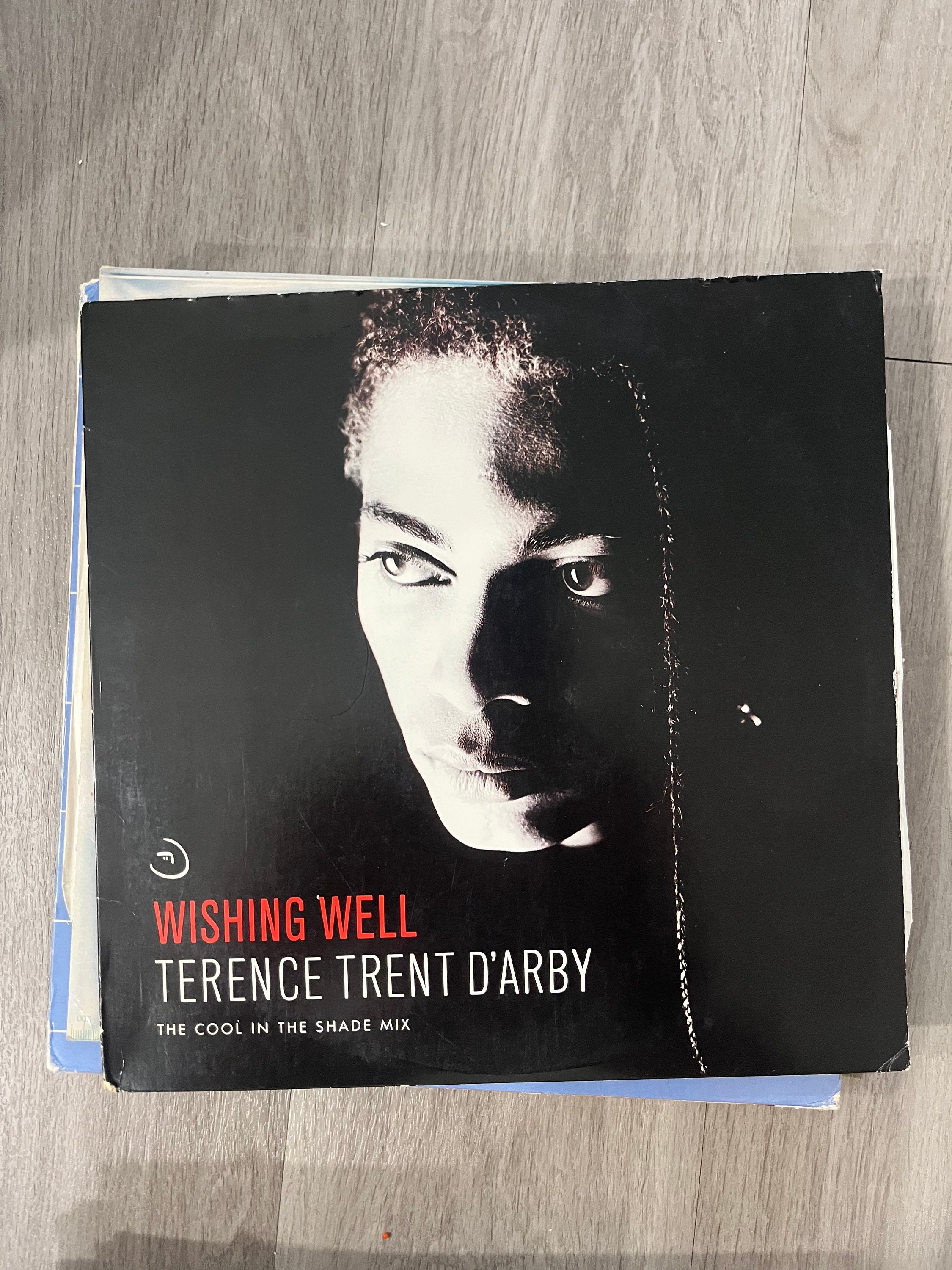 Wishing Well Terrence Trent D Arby - Etsy