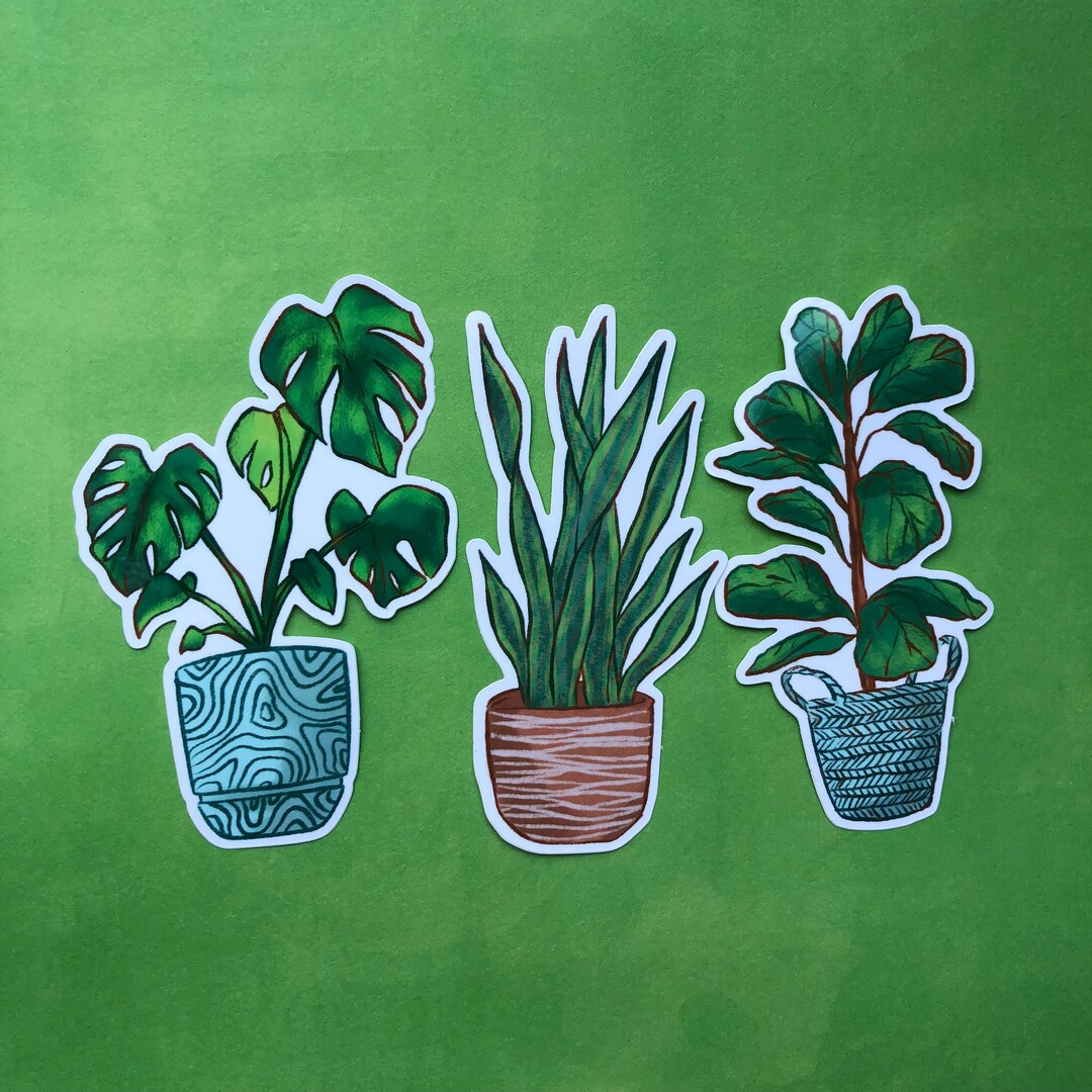 Happy Plants Vinyl Stickers Set of 3 - Etsy