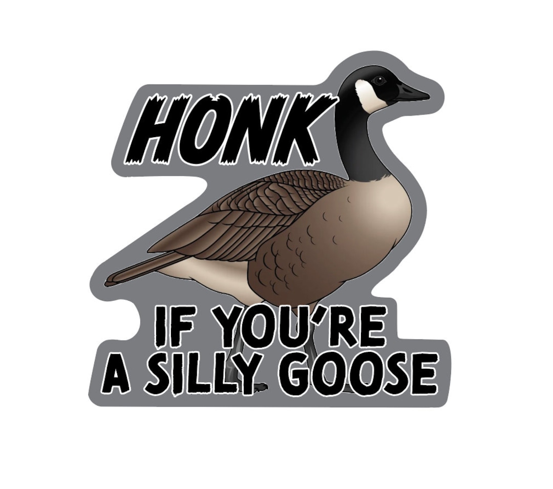 Honk If You're a Silly Goose Bumper Sticker - Etsy