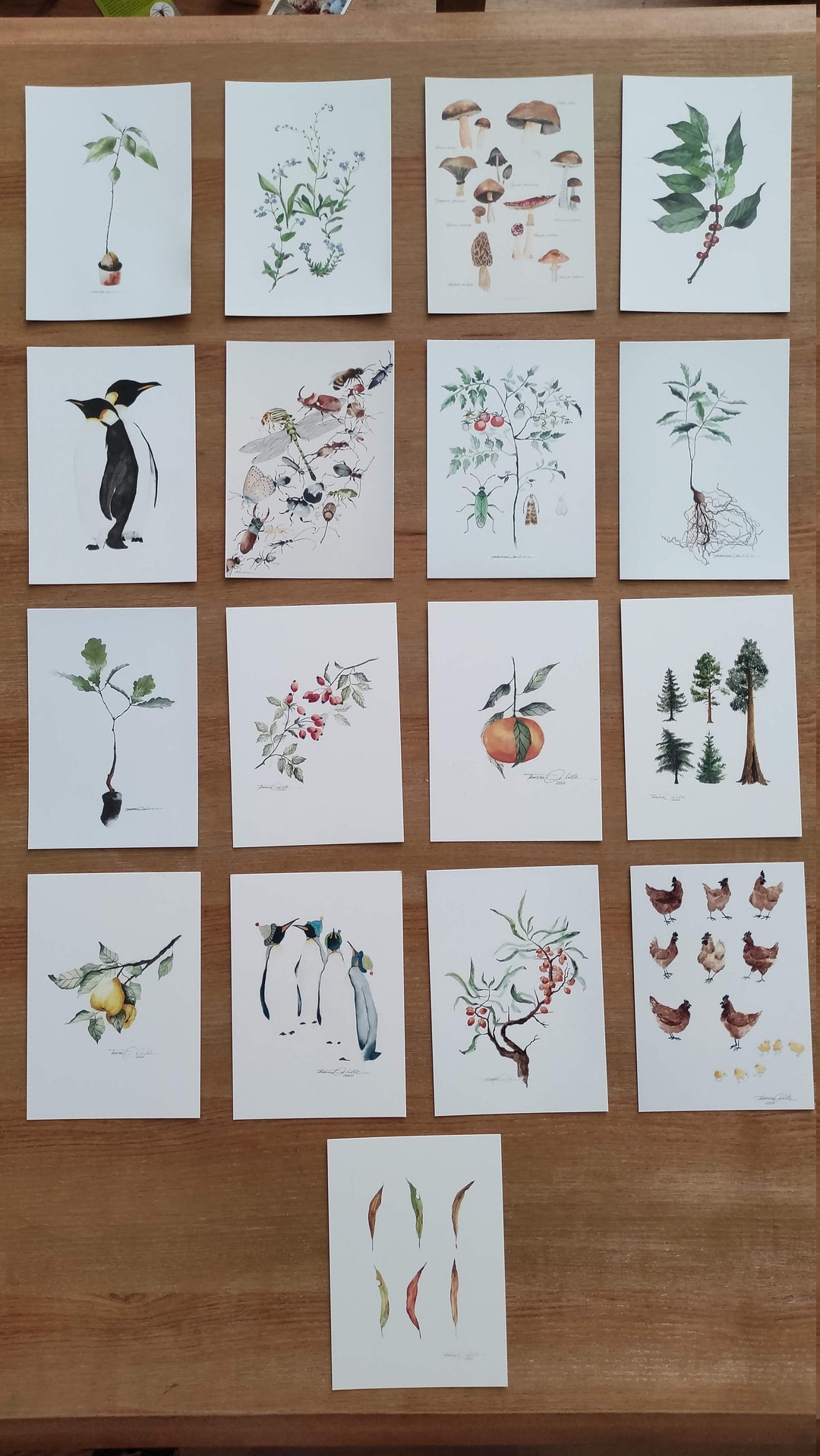VINTAGE BOTANICAL Set of 5 Mini PRINTS, Nature Woodland Illustration ...