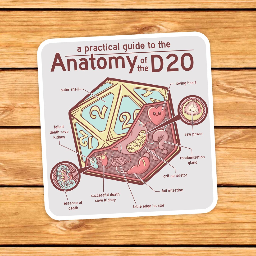 Anatomy of the D20 Sticker Dnd Gift GM Dungeons & - Etsy