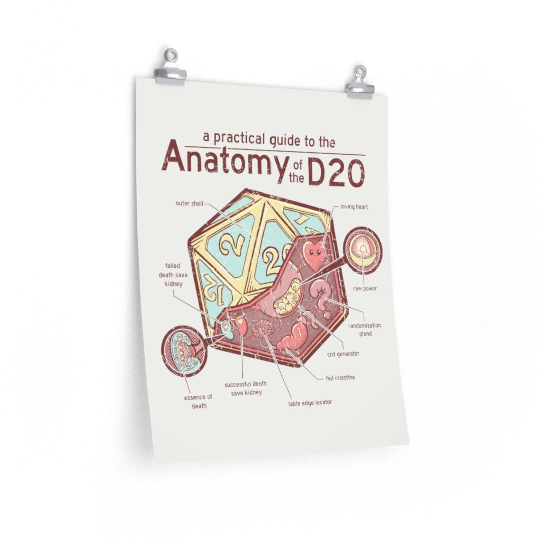Anatomy of the D20 Poster | Dungeons & Dragons | Gifts for Geeks ...