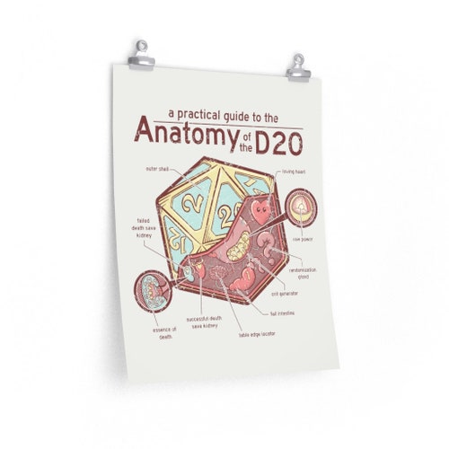 Anatomy of the D20 Poster Dungeons & Dragons Gifts for - Etsy