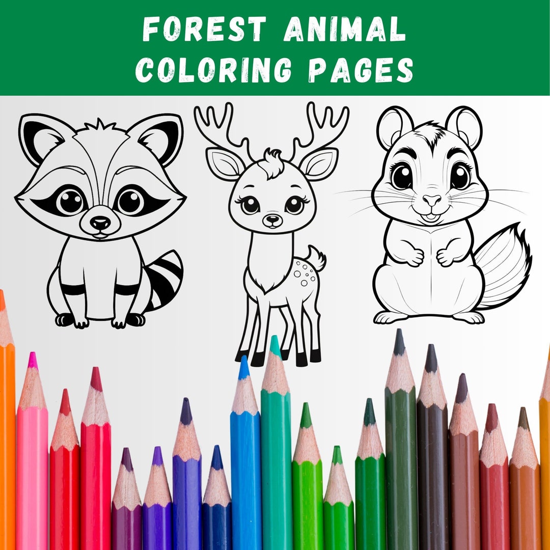12 Printable Coloring Pages for Kids Forest Animal Collection 1 ...