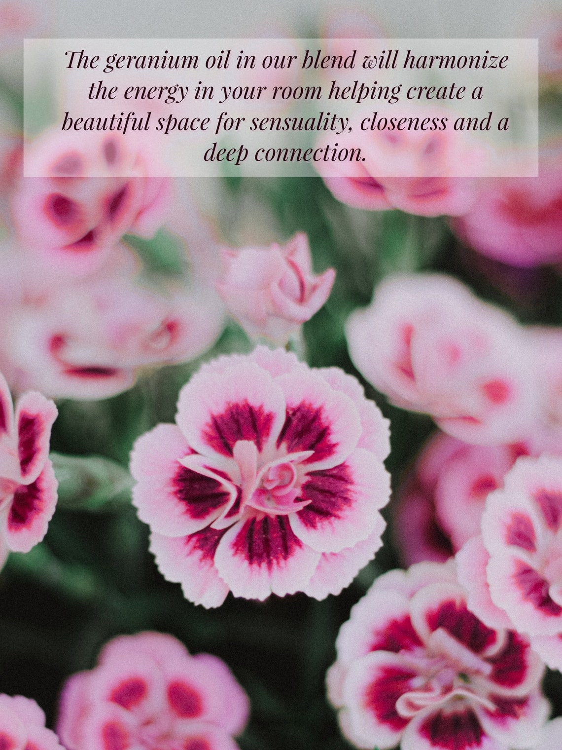 Desire Essential Oil and Sunflower Oil Bundle Sensual and - Etsy