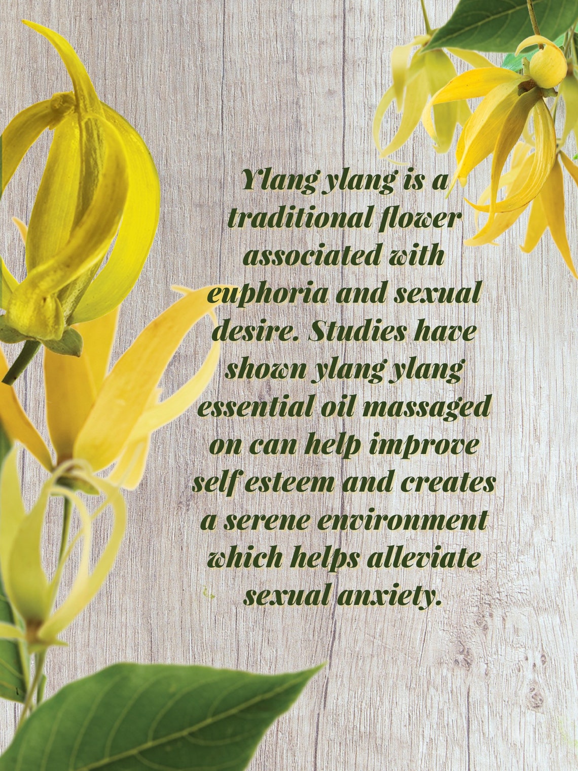 Desire Essential Oil and Sunflower Oil Bundle Sensual and - Etsy