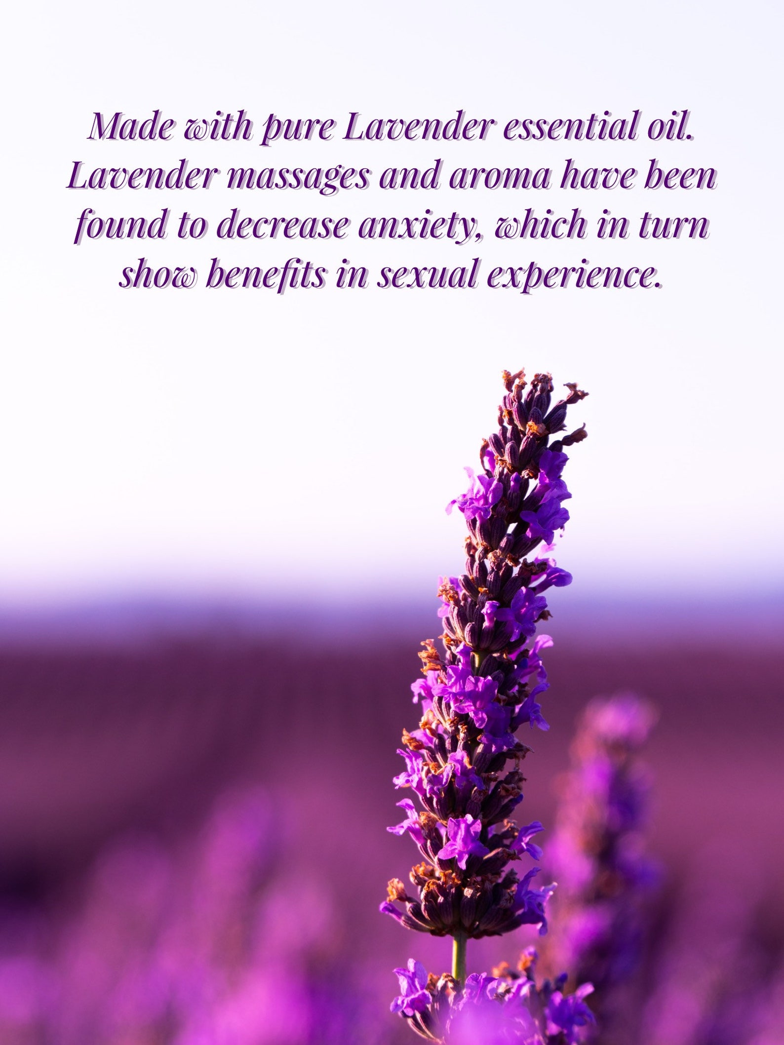 Desire Essential Oil and Sunflower Oil Bundle Sensual and - Etsy