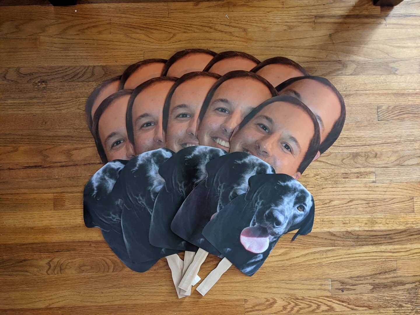 Face Sticks 50 Pack, Face on a Stick, Head on a Sticks, Big Head, - Etsy