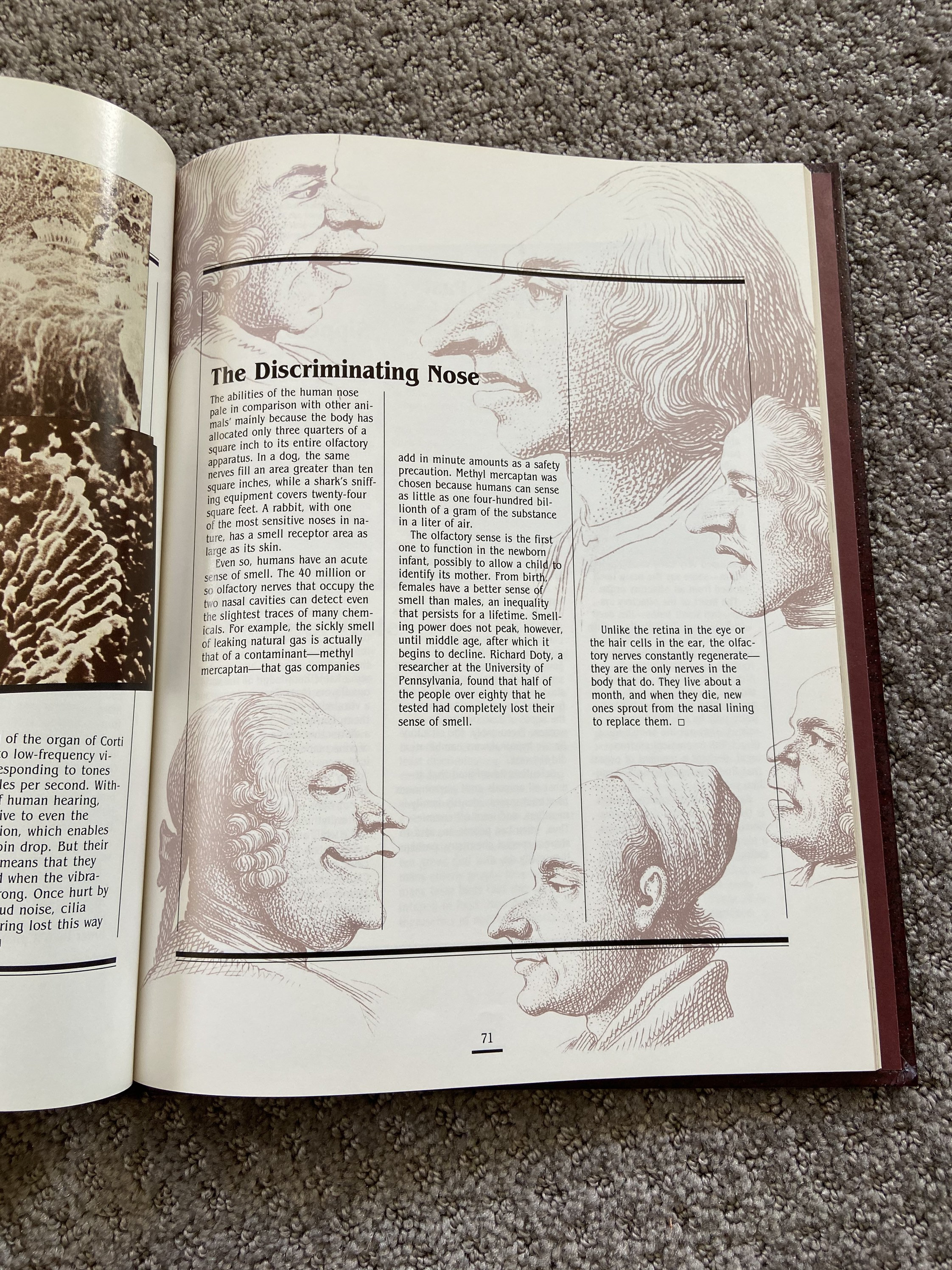 Time Life Books mysteries of the Unknown 1990s - Etsy