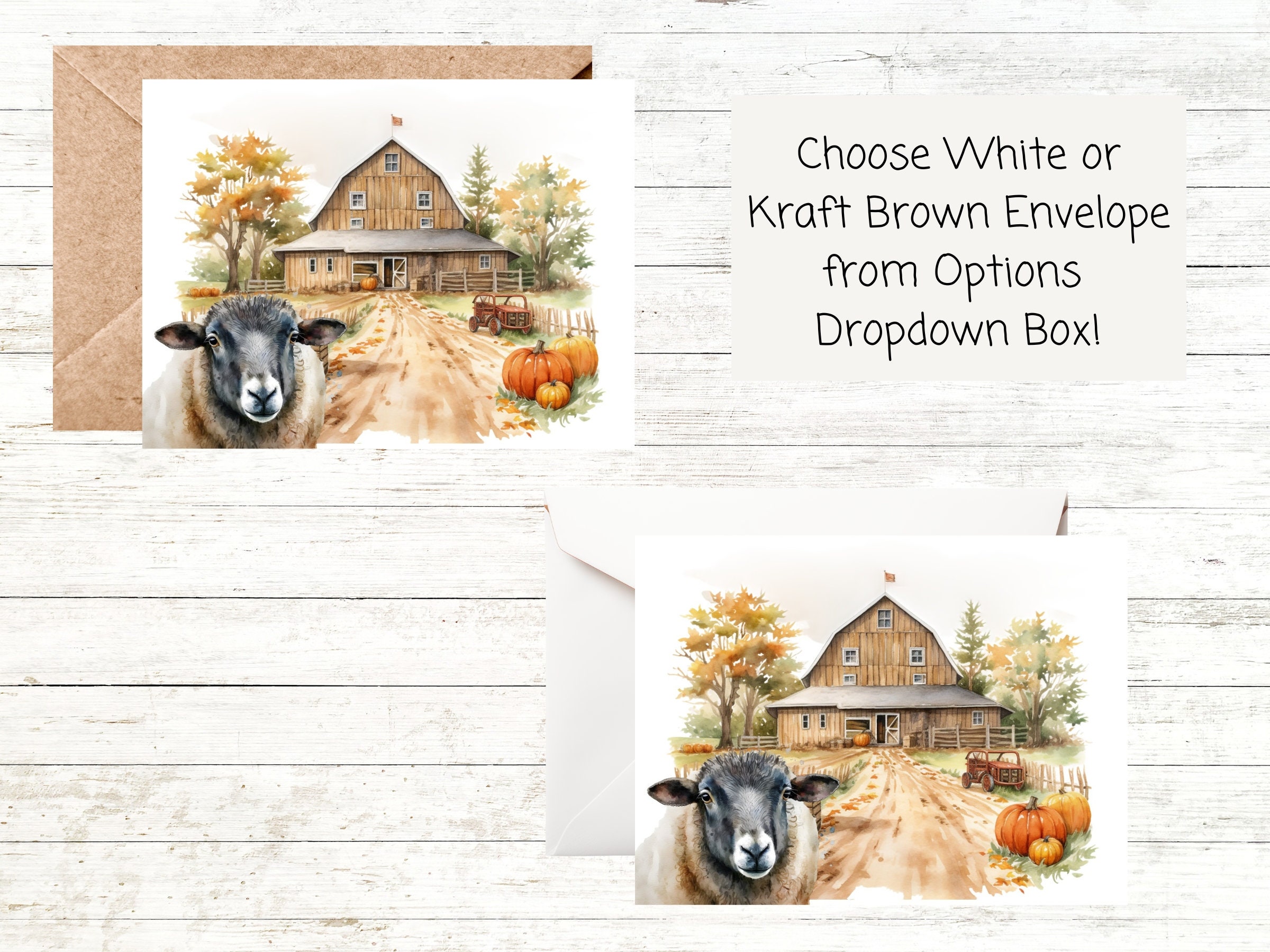 Wayward Sheep Set of Notecards With Envelopes, Blank Folded Notecards ...
