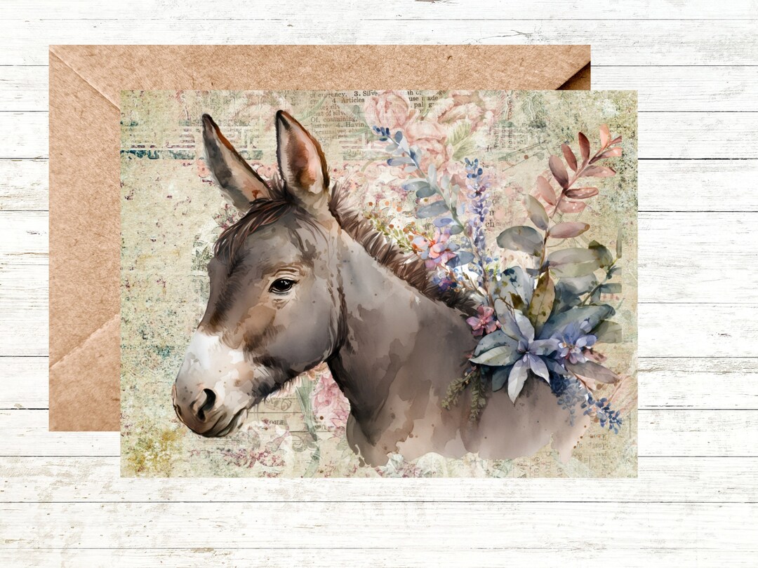 Boho Donkey Notecards, Donkey Stationery, Set of Blank Notecards With ...