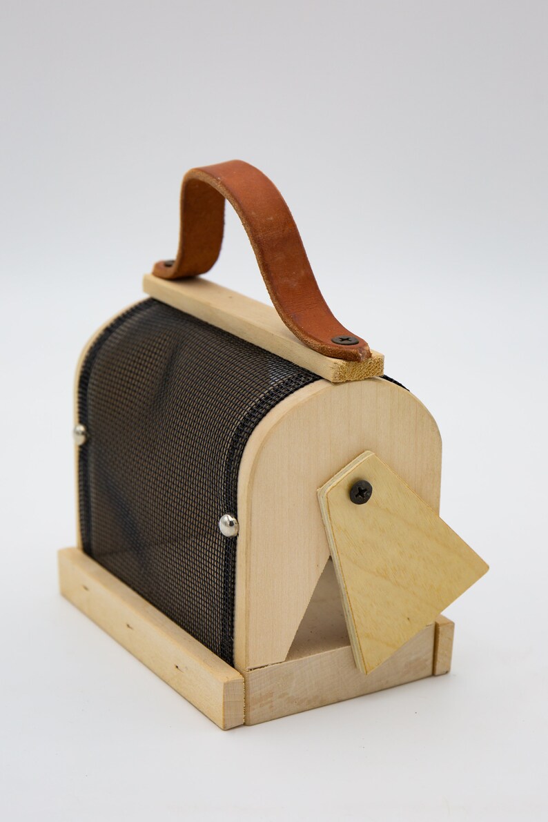 Unfinished Wooden Bug Box at Amelie Woolley blog