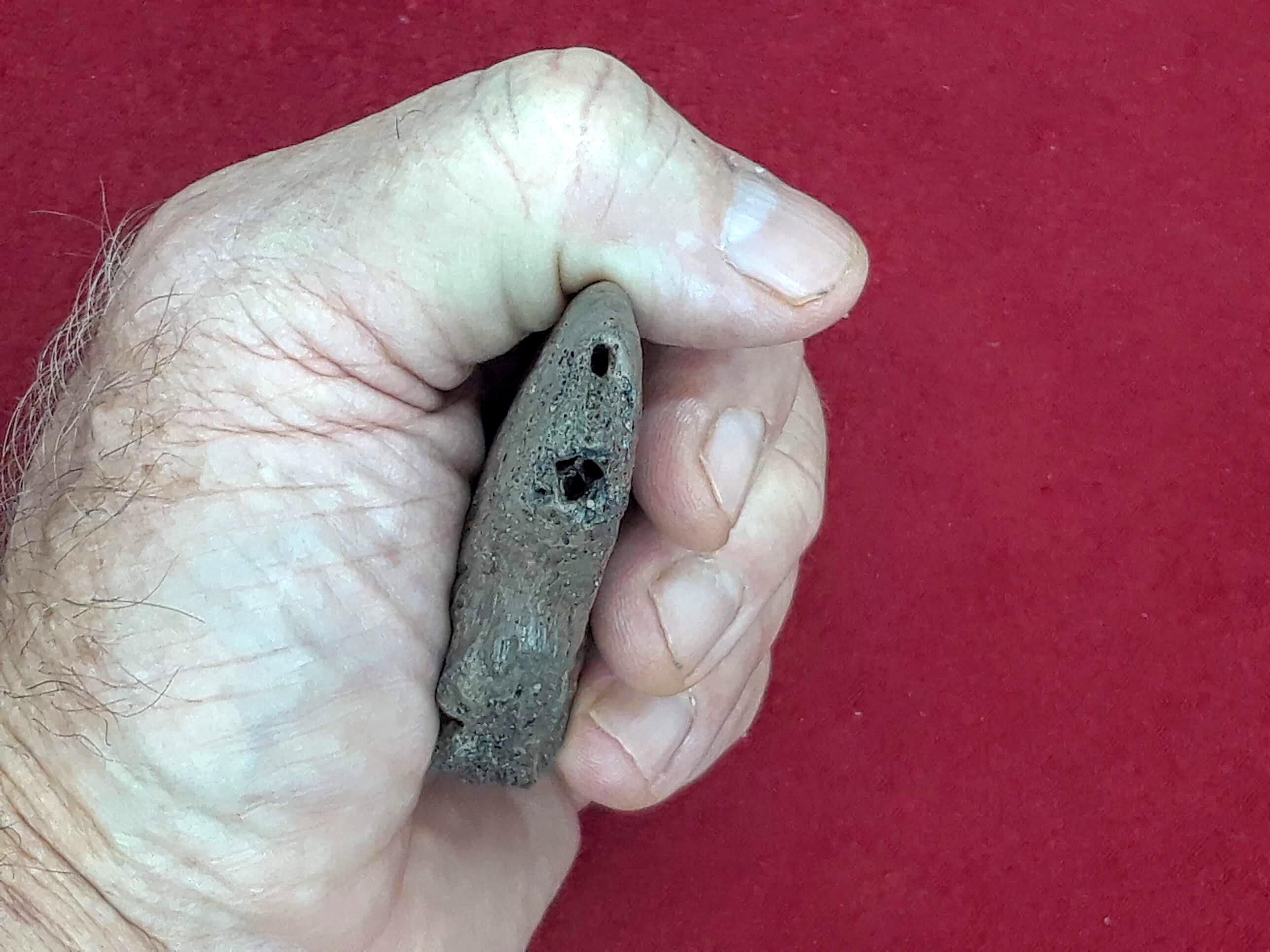 Rare Ice Age Giant Ground Sloth Claw - Etsy