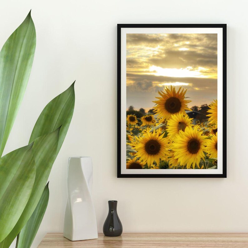 Sunflowers & Sunset Instant Download, Photograph, Digital Wall Art to ...