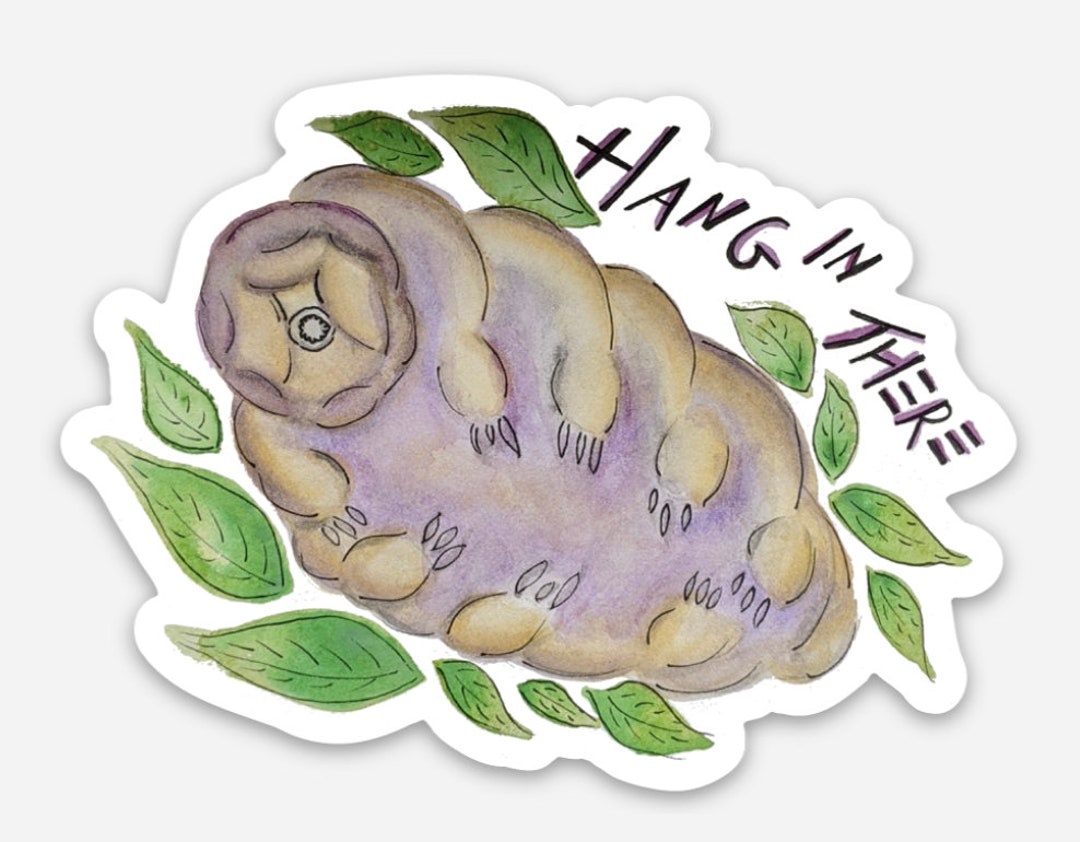 Tardigrade "hang in There" Sticker / Laptop Sticker / Water Bottle ...