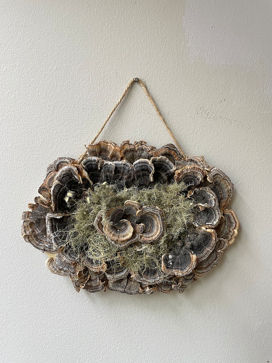 Foraged Moss & Turkey Tail Mushroom Artwork - Etsy