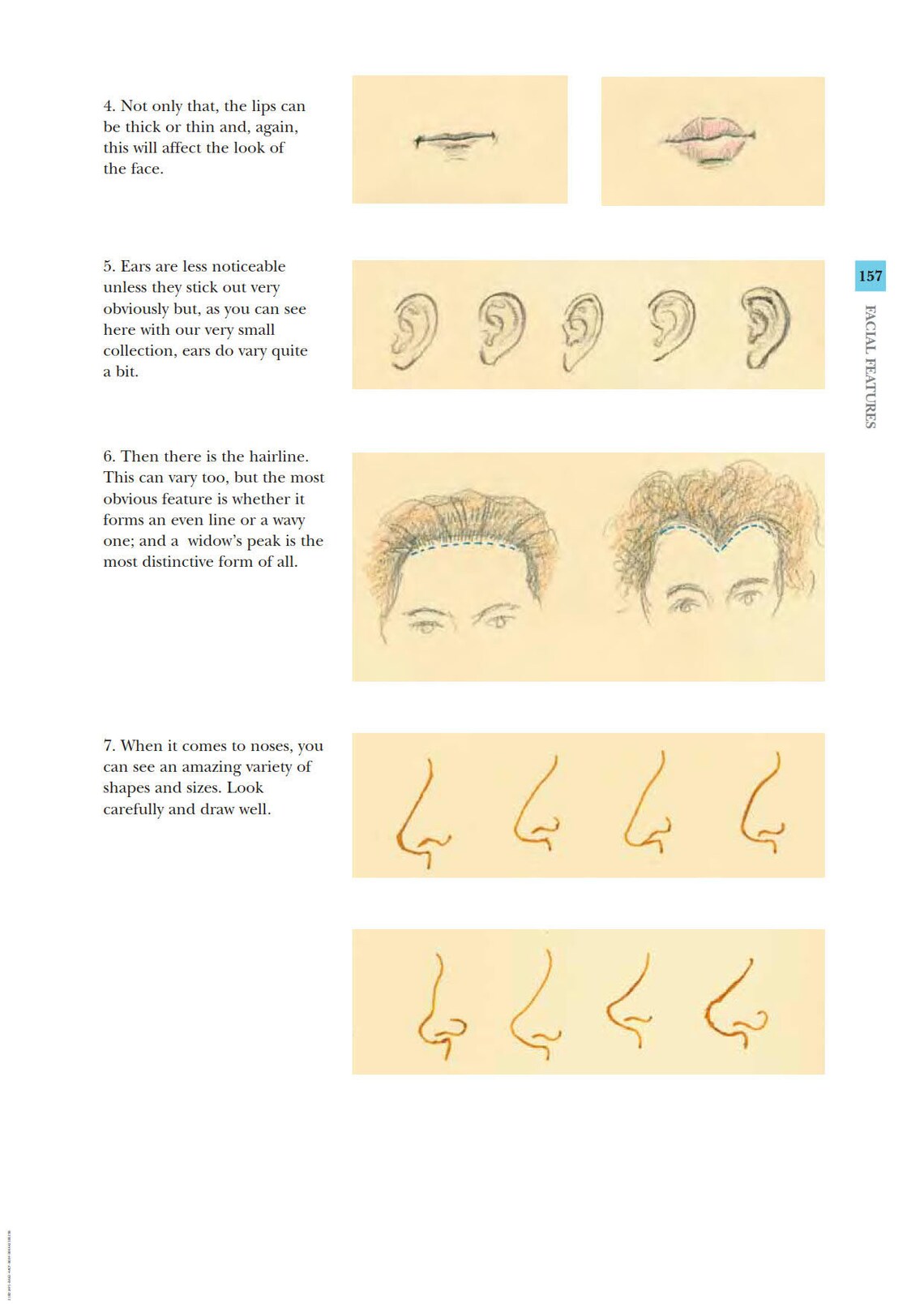 Watercolor Color Lead Painting Foundation Page |watercolor Pencil ...