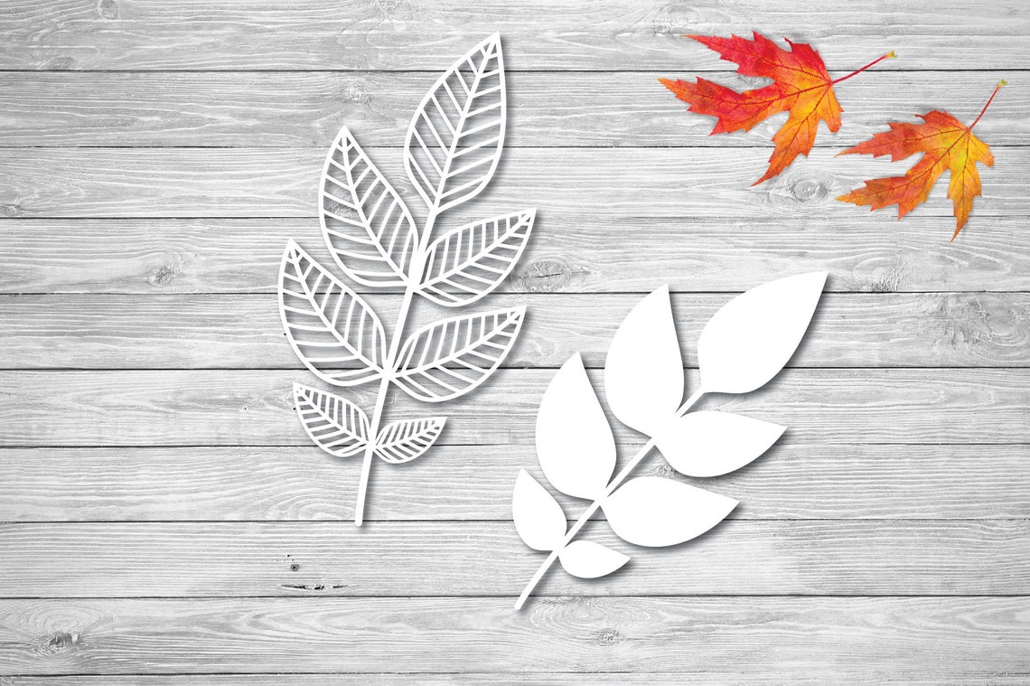 Fall Leaf Collection SVG Set of 10 Elements Oak Leaf SVG - Etsy
