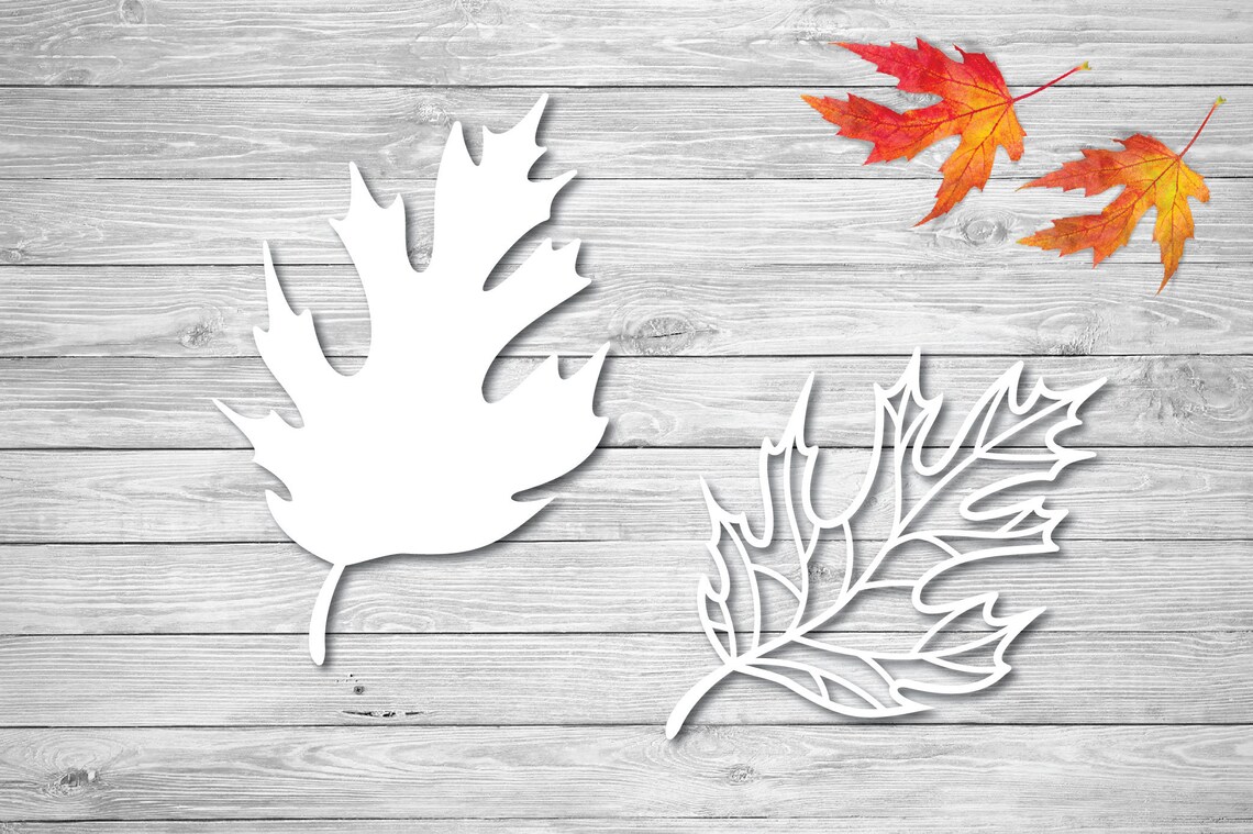 Fall Leaf Collection SVG Set of 10 Elements Oak Leaf SVG - Etsy