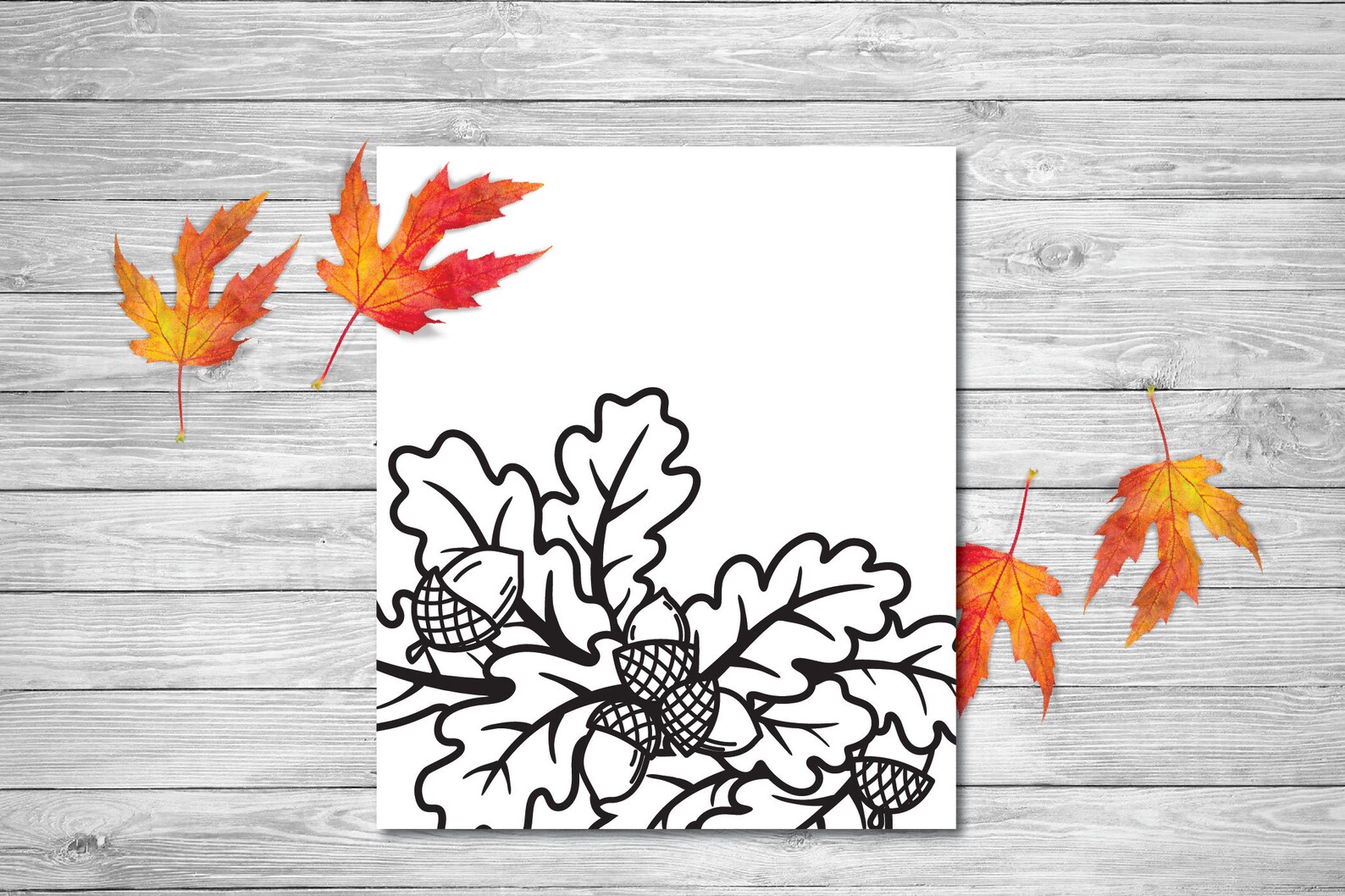 Fall Leaf and Acorn Collection SVG, Oak Tree SVG, Acorn SVG Fall Design ...