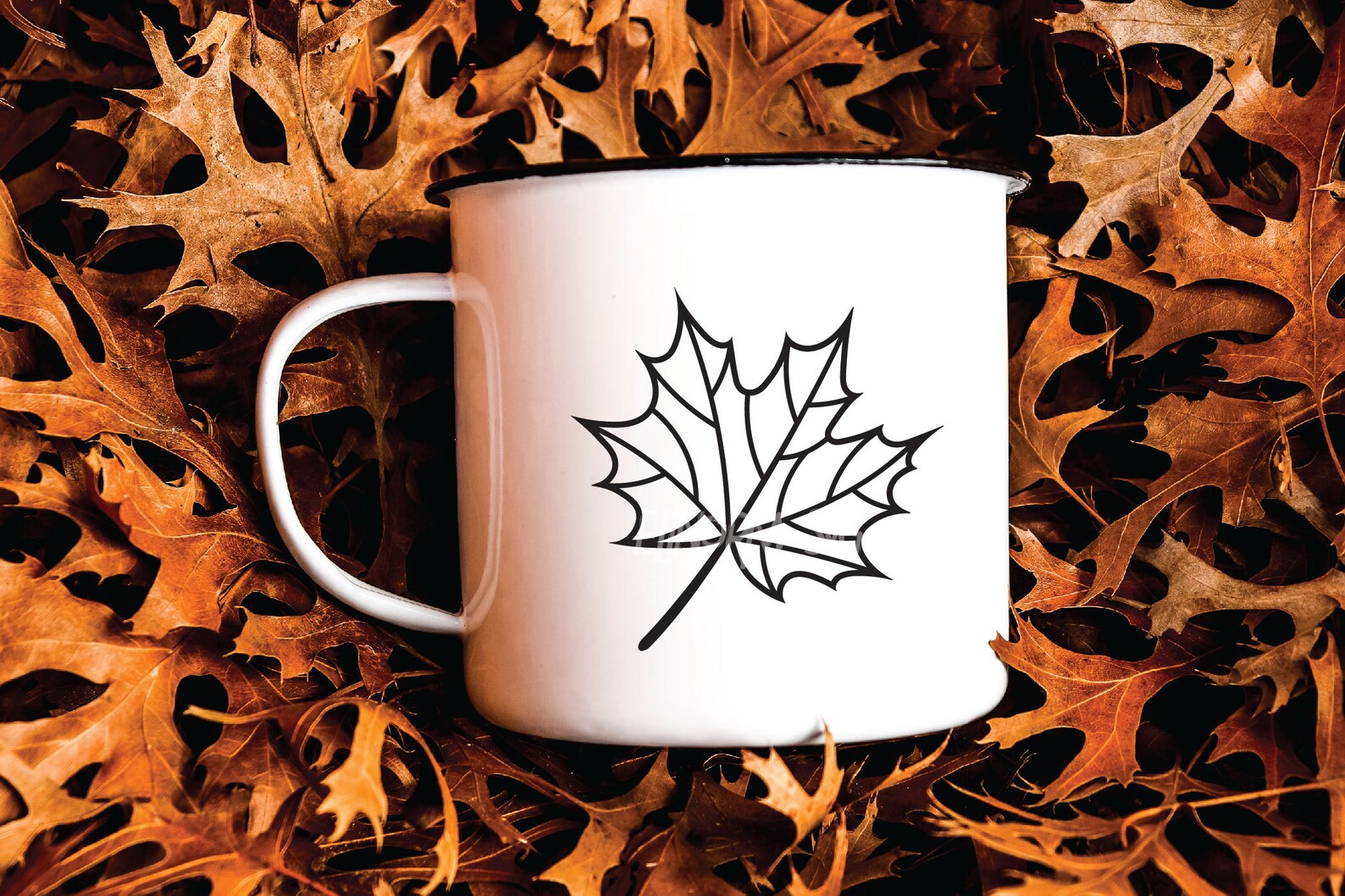 Fall Leaf Collection SVG, Set of 10 Elements, Oak Leaf SVG, Maple Leaf ...