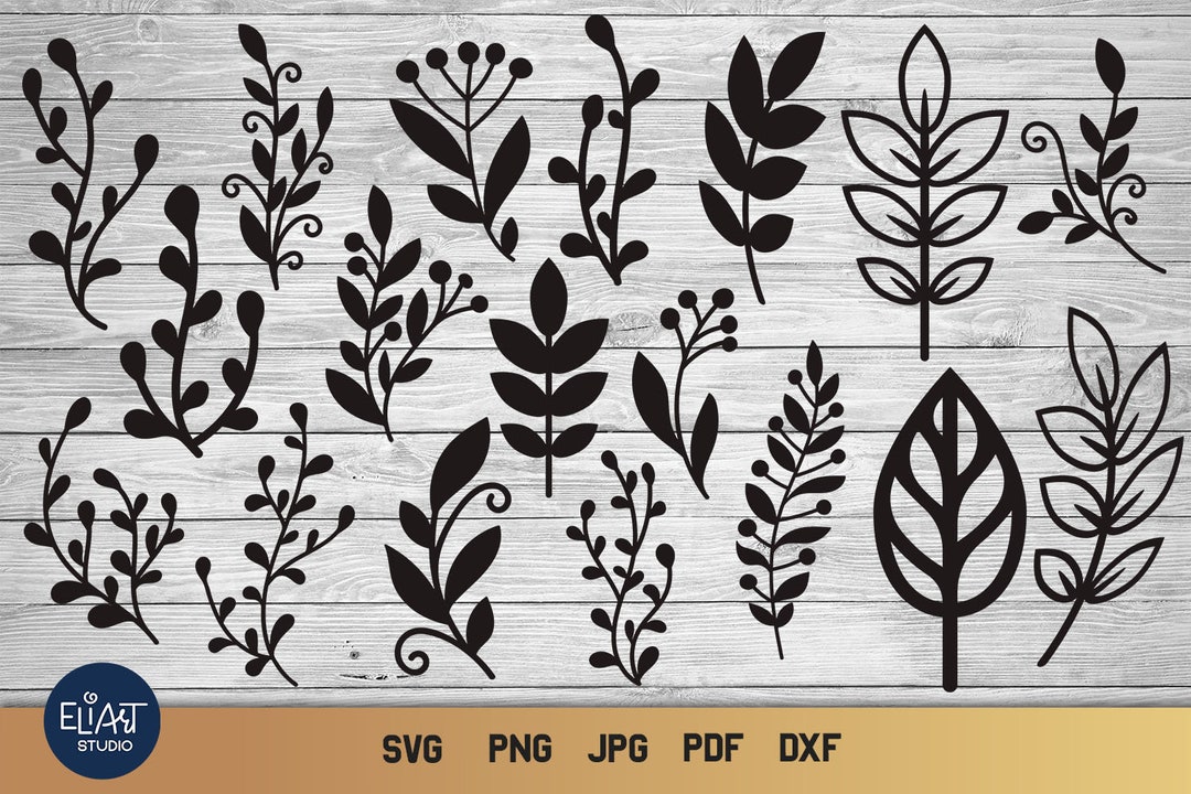 Leaves and Branches SVG, Branch Silhouette PNG Bundle, Tree Branch PNG ...