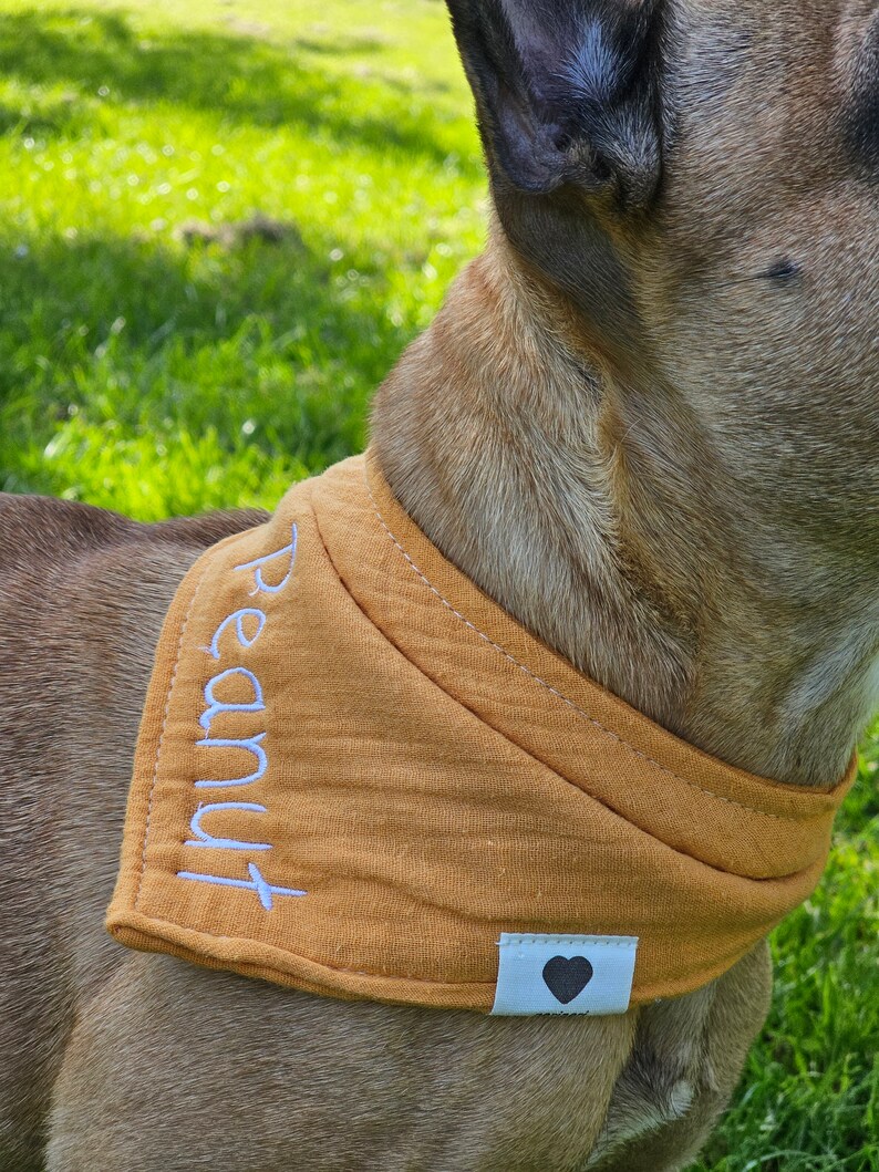Custom Dog Embroidered Bandana -personalized Dog Bandana, Cat Bandana ...