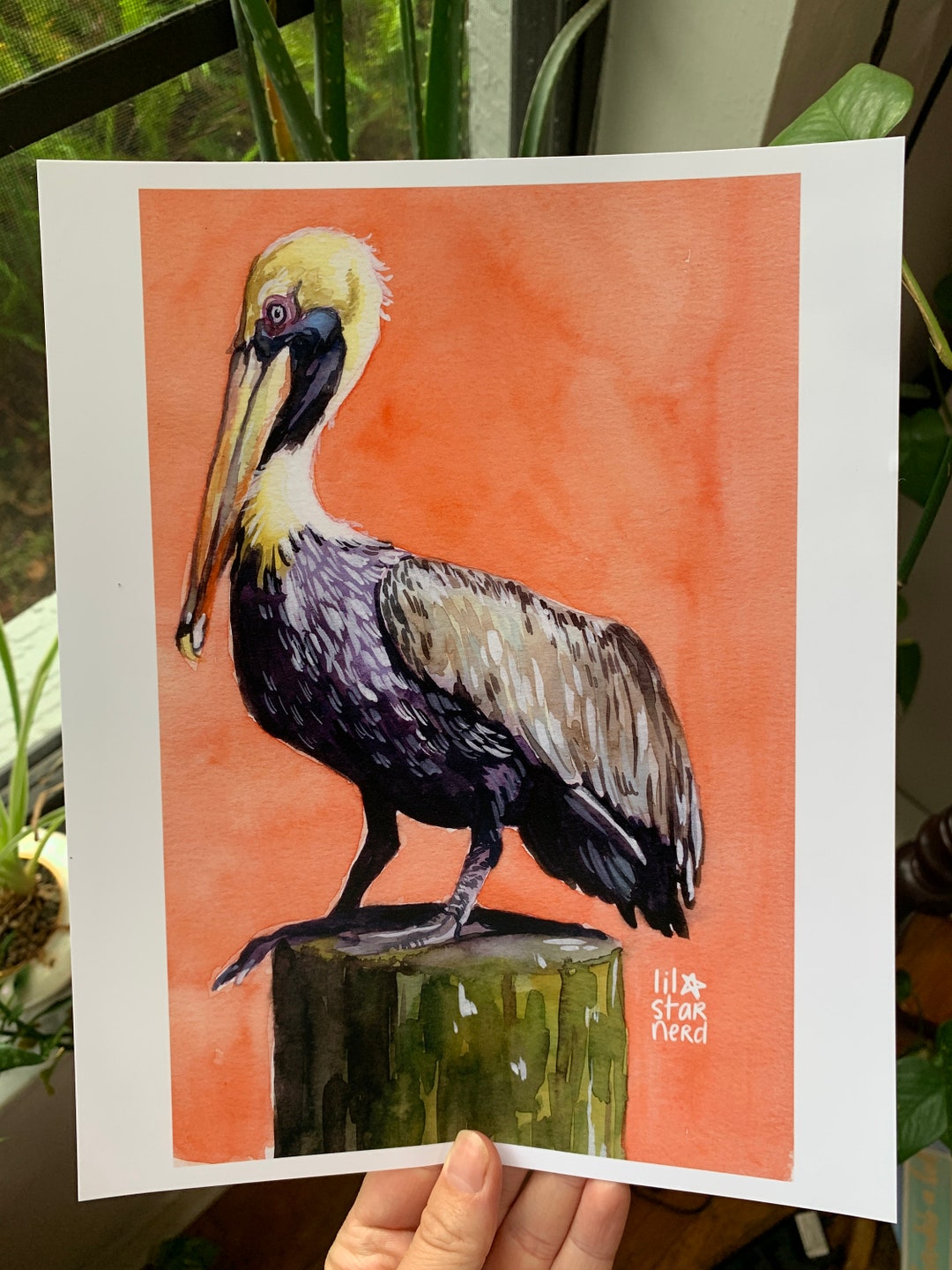 Pelican Print - Etsy