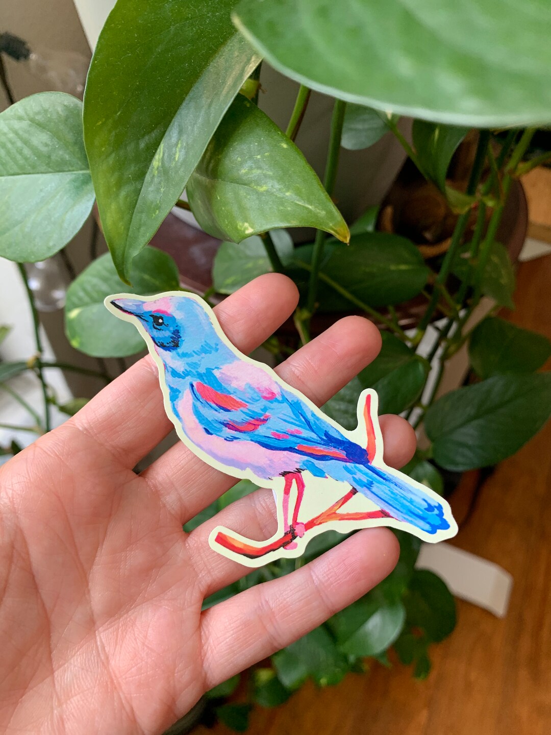 Scrub Jay Sticker - Etsy