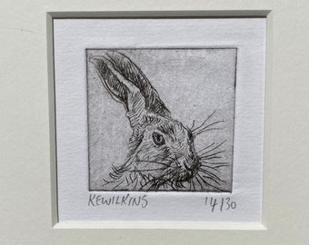 Durer's Hare- Hand Printed Etching/ Engraving of a Hare Printed in ...